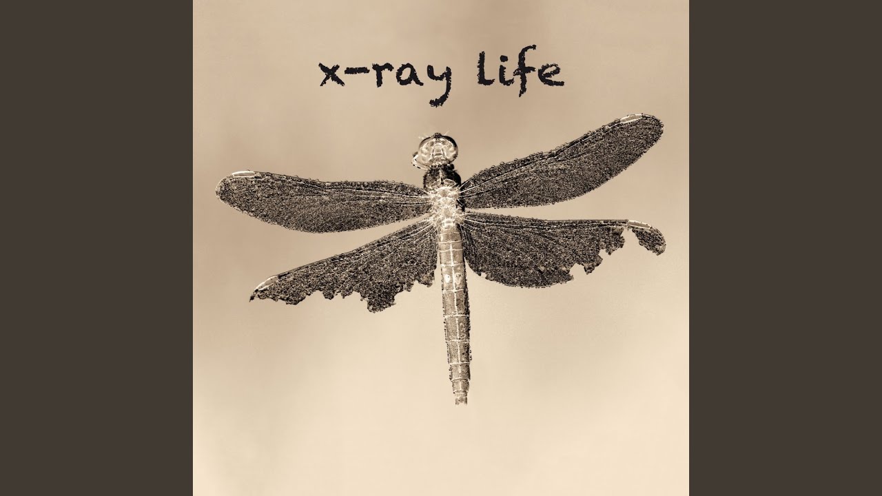 Devil On Earth - YouTube