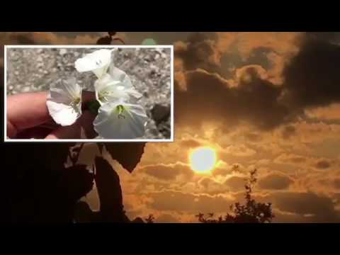 Bu video sevdim güzel oldu iyi seyirler