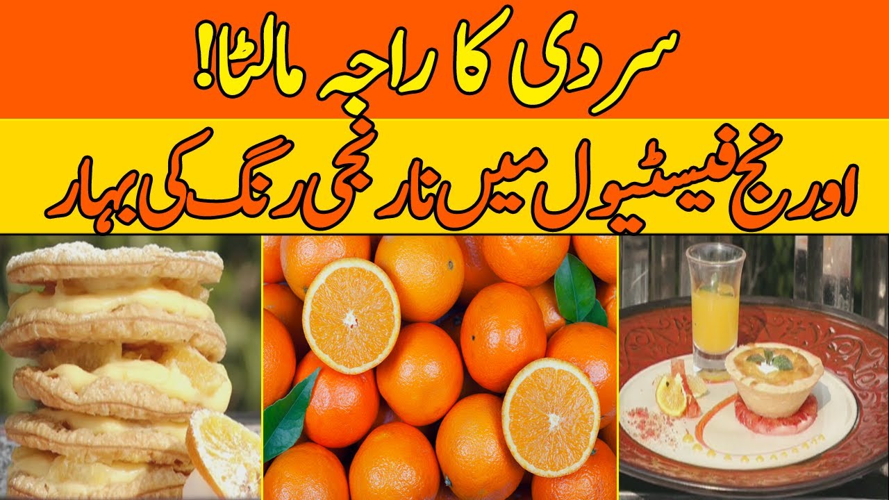 Sardi Ka Raja Malta | Orange Festival Mai Narangi Rang Ki Bahar | Dawn ...