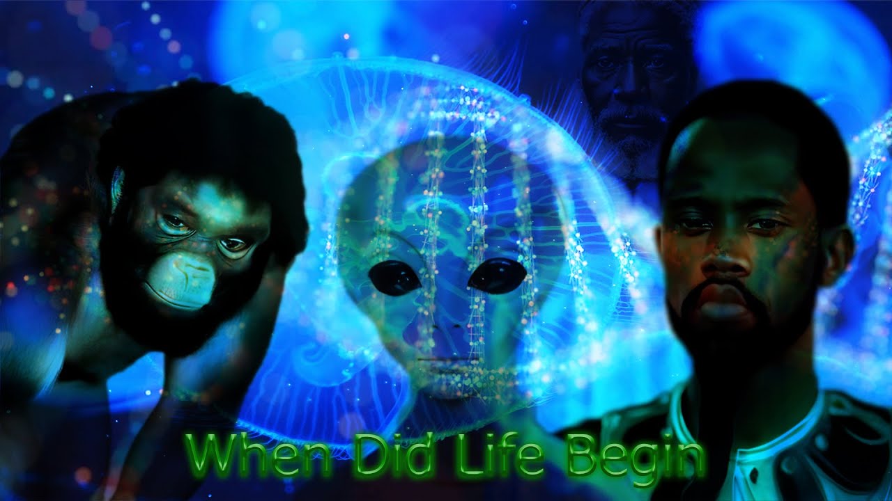 When Did Life Begin - YouTube
