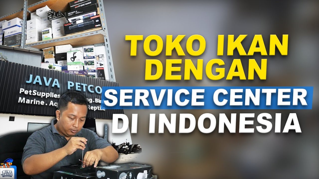 JAVA SERVICE CENTER - TOKO IKAN ADA SERVICE CENTERNYA - YouTube