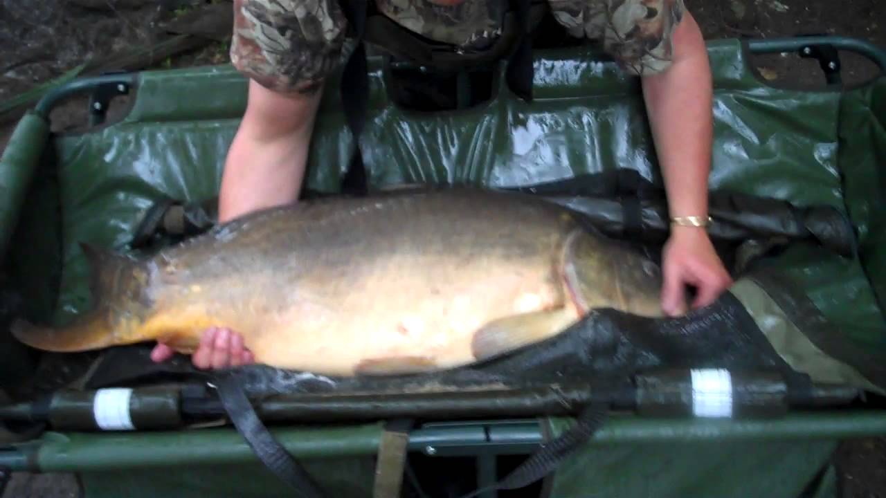 Farm Lake France 2013 8 - YouTube