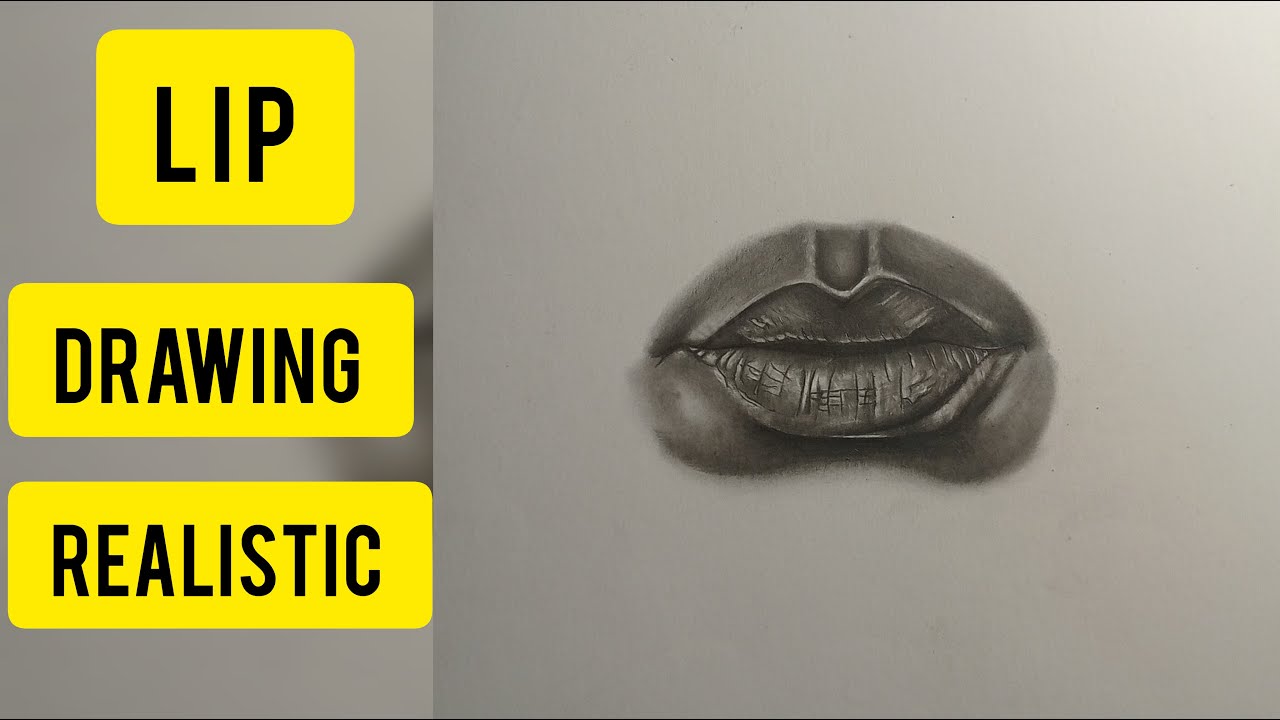 lips drawing pencil shading || realistic lips pencil drawing - YouTube