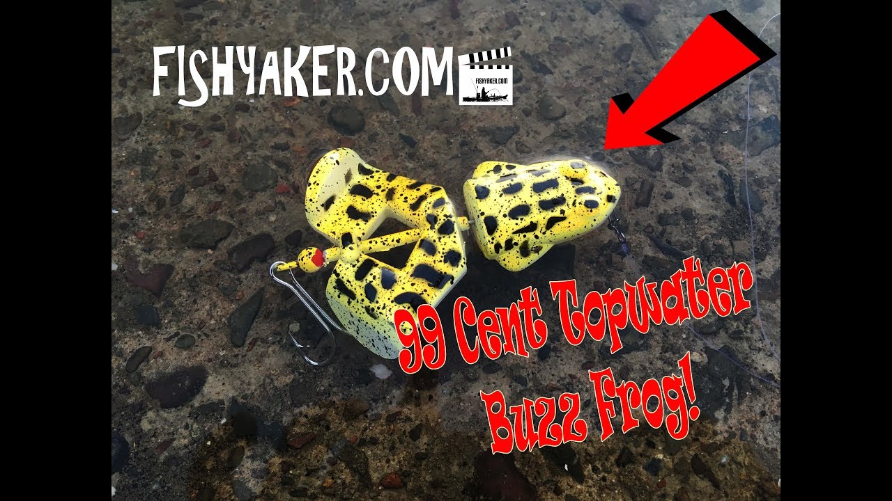 $.99 Topwater Buzz Frog Fishing Lure: Episode 625 - YouTube