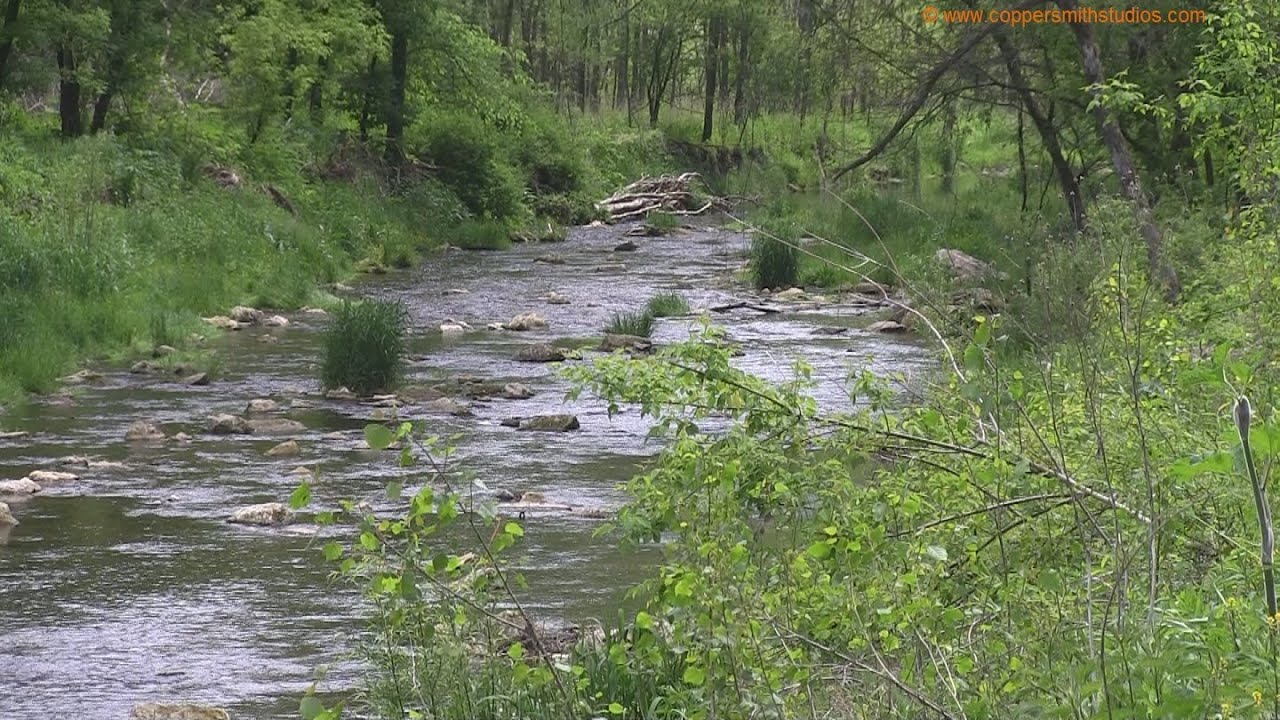 Fishing Rush Creek in SW Wisconsin - YouTube
