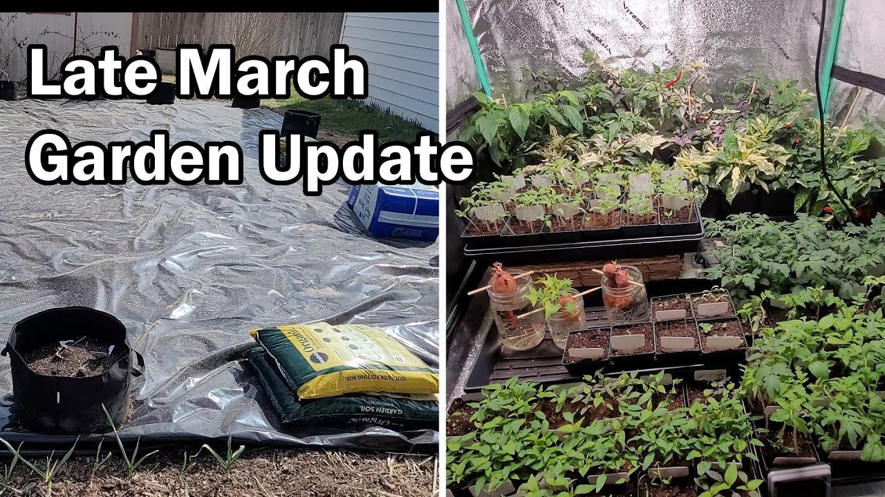 Garden Chronicles: Late March Edition - Outdoors and Indoors - YouTube