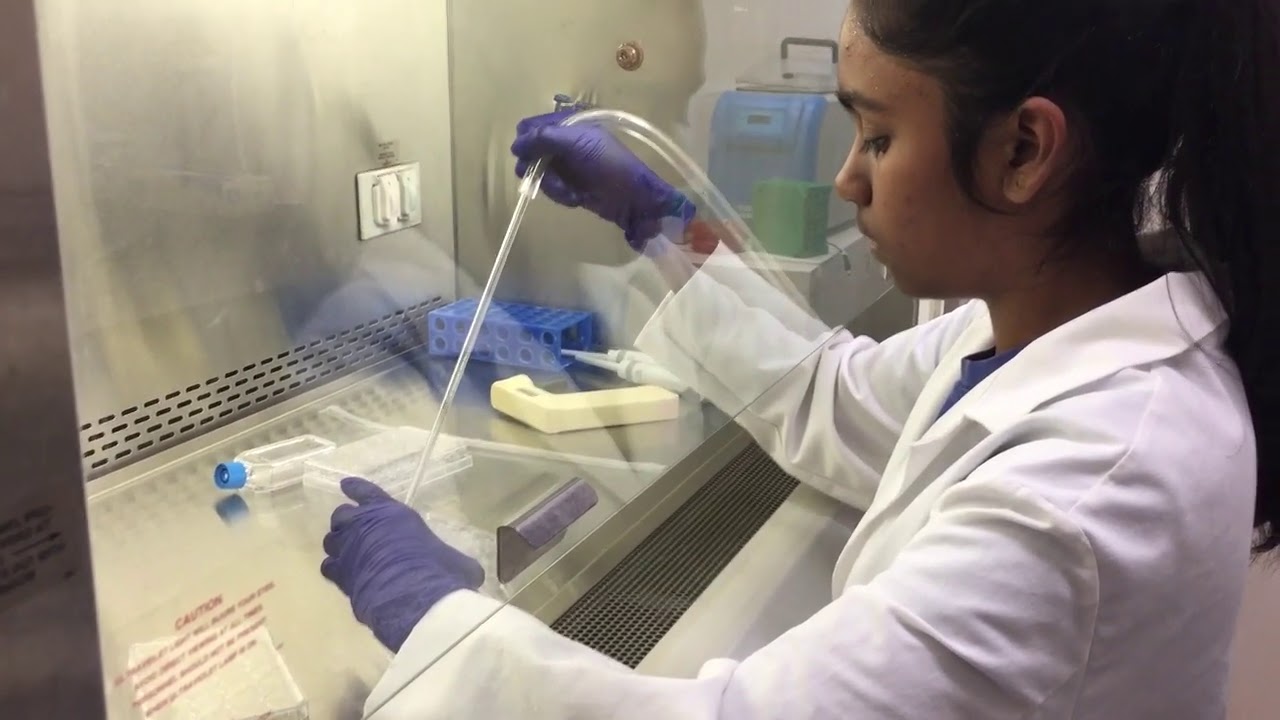 Project 3 | After PBS Wash - YouTube