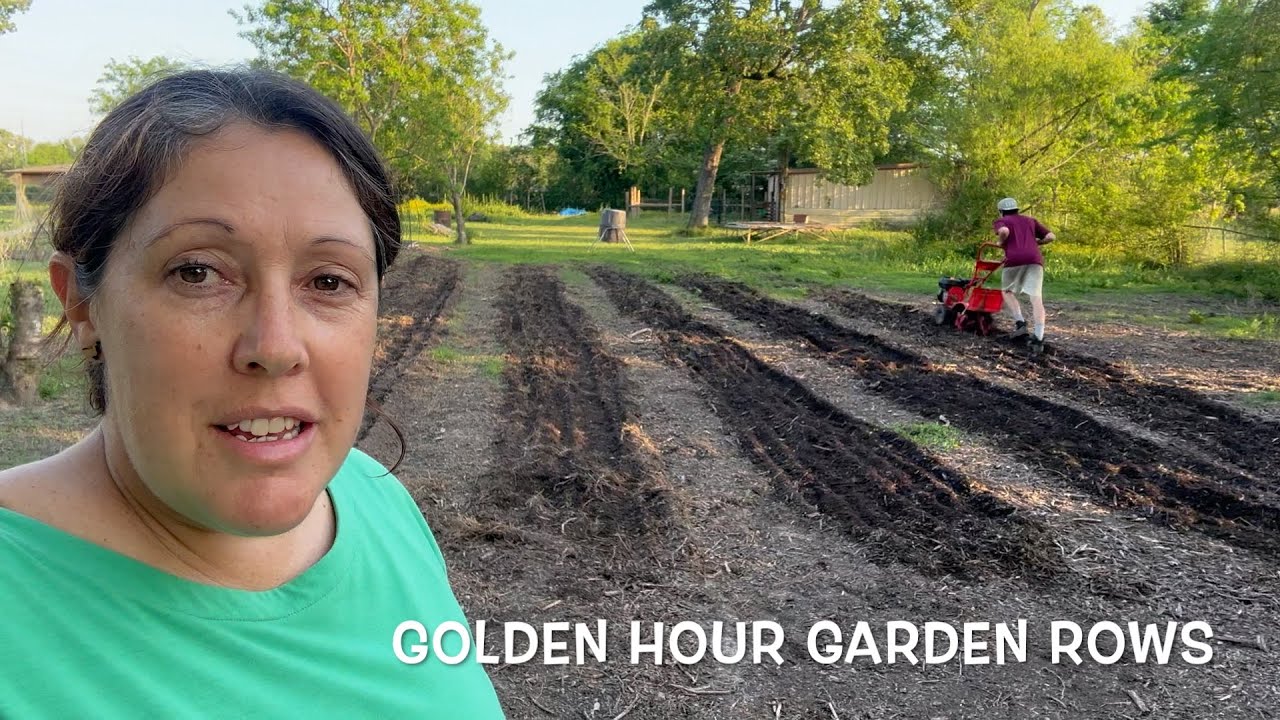 Hundred Days of Homesteading Day 33 - I'm a Real Gardener Now! - YouTube