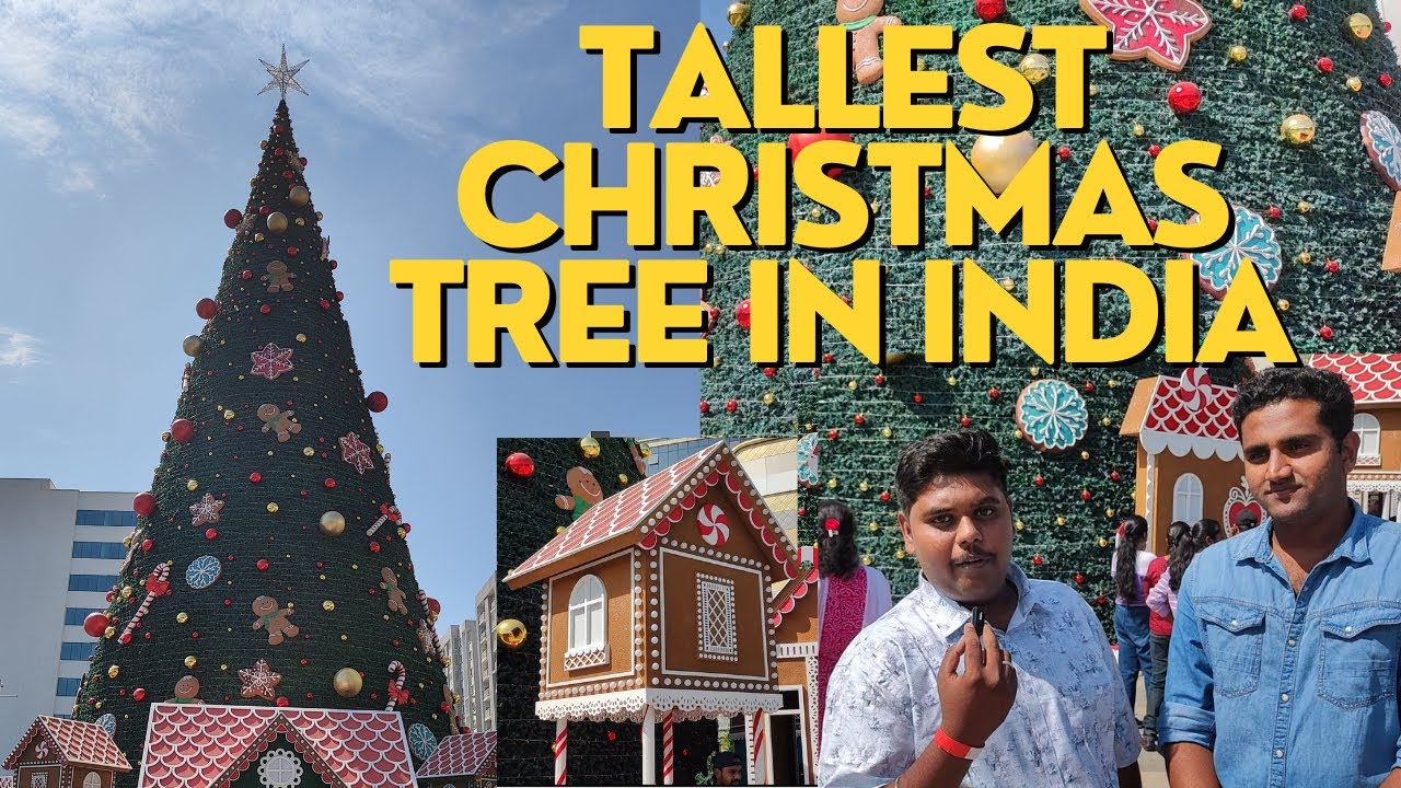 Tallest Christmas Tree in India | Bangalore Phoenix mall of Asia ...