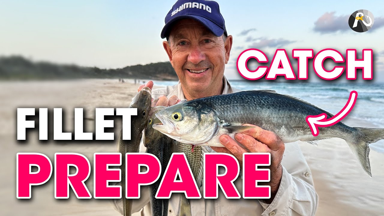 How to Catch ️Fillet ️Prepare: Australian Salmon! Remove the BLOODLINE ...