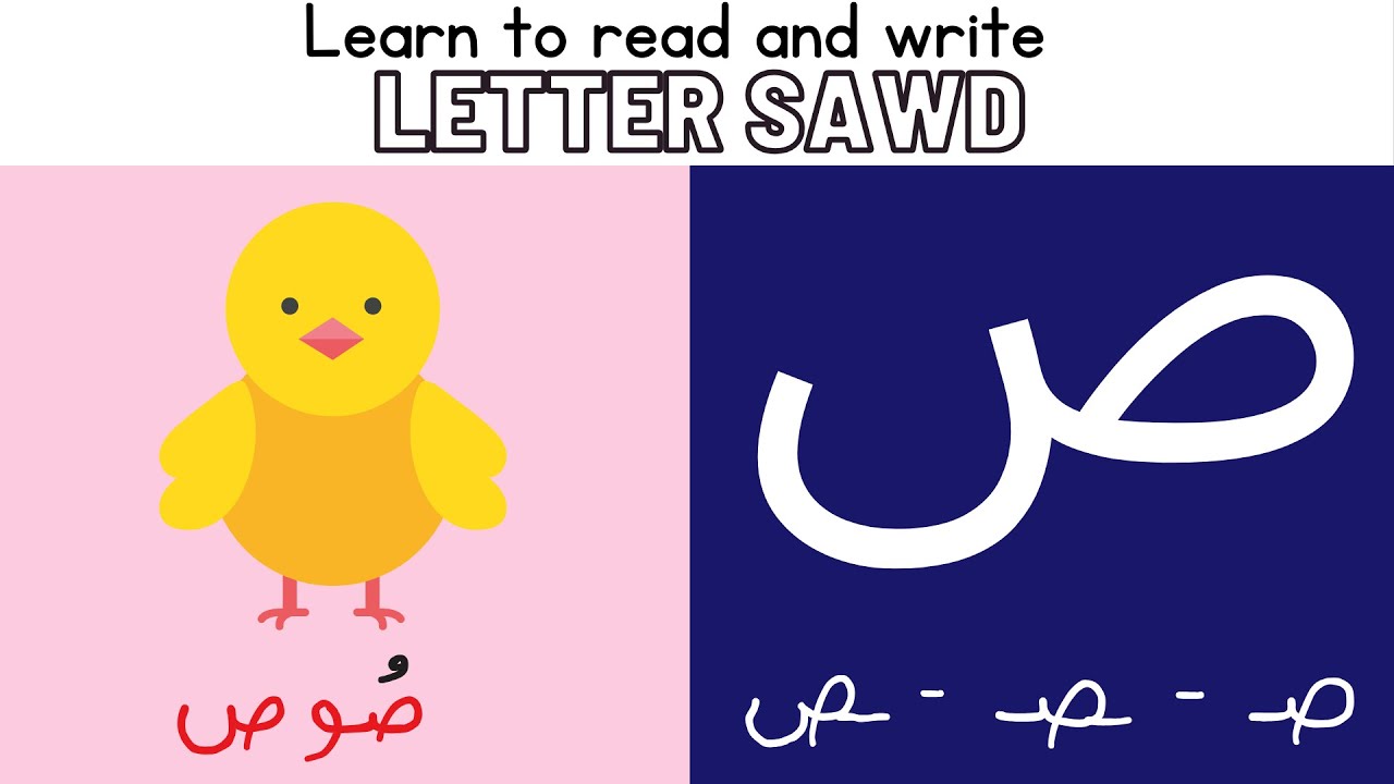 Letter Sawd in Arabic ص | Arabic Alphabet for Kids #arabicforbeginners ...