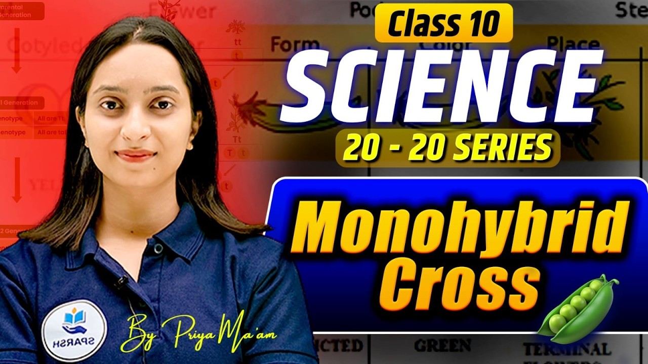 Monohybrid Cross Made Easy | Mendel’s Genetics | Simple Explanation for ...