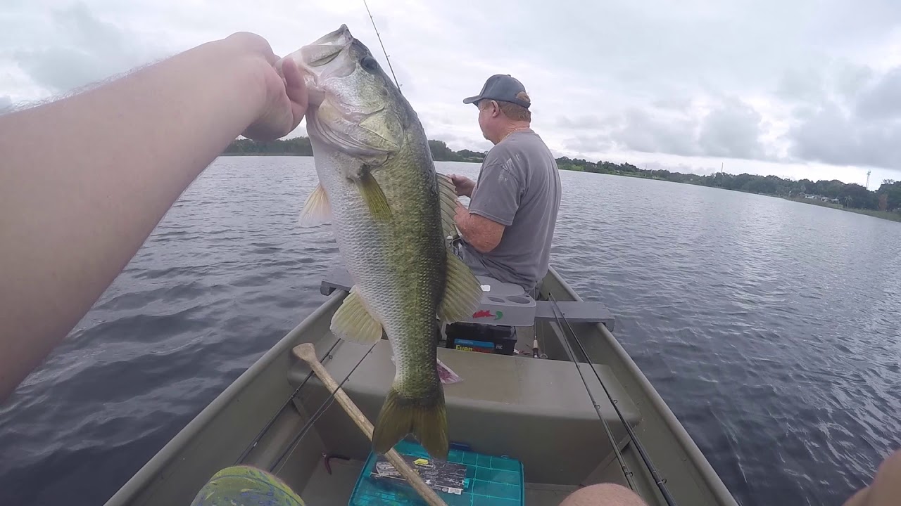 Catching BIG BASS on a WACKY RIG - YouTube