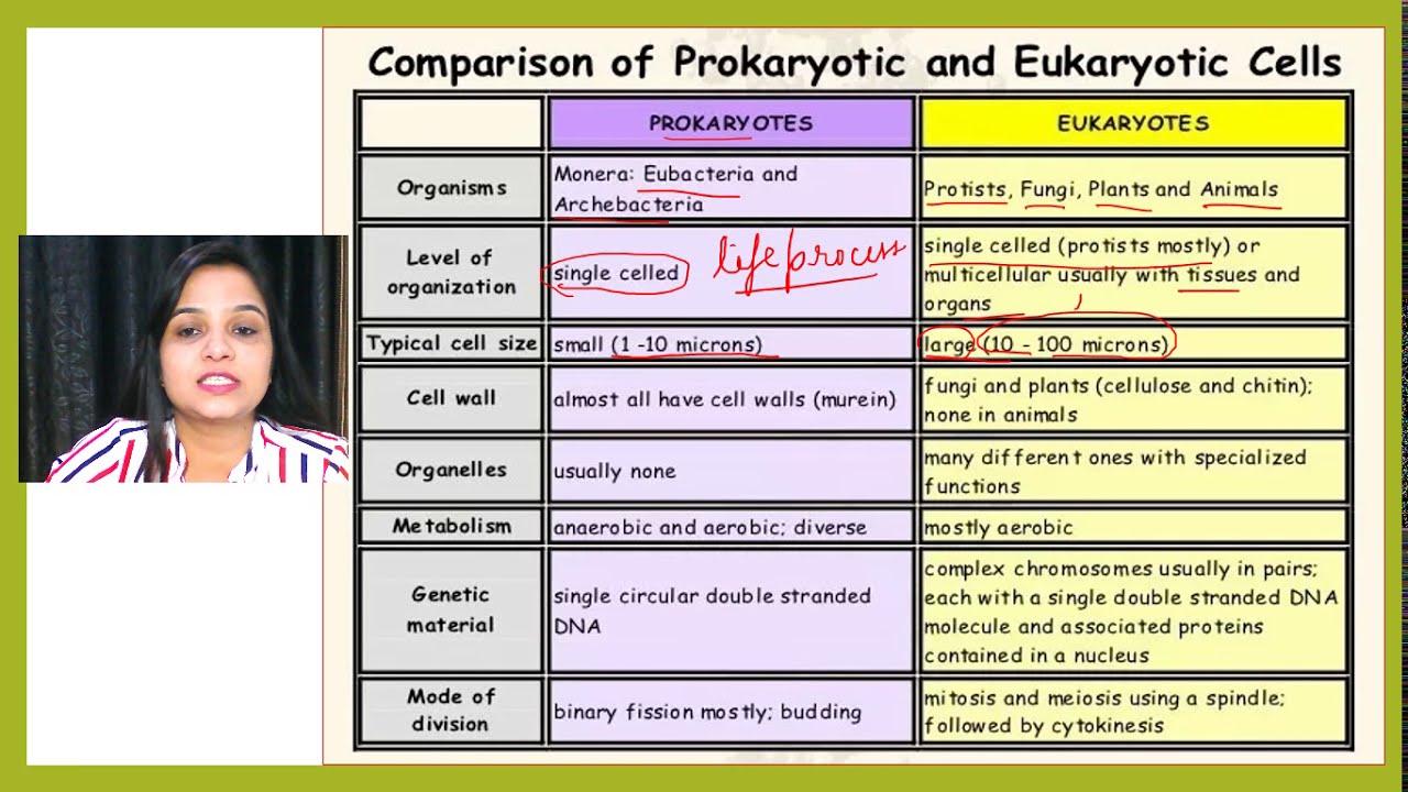 Eukaryotic And Prokaryotic Comparison Table