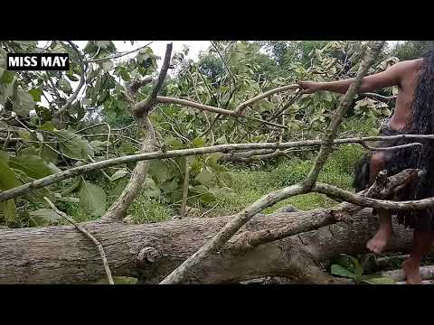main di hutan ketemu !n!