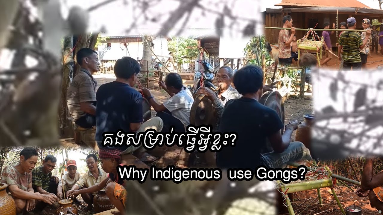 តើជនជាតិដើមភាគតិចប្រើគងសម្រាប់ធ្វើអ្វីខ្លះ? Why do Indigenous People in ...