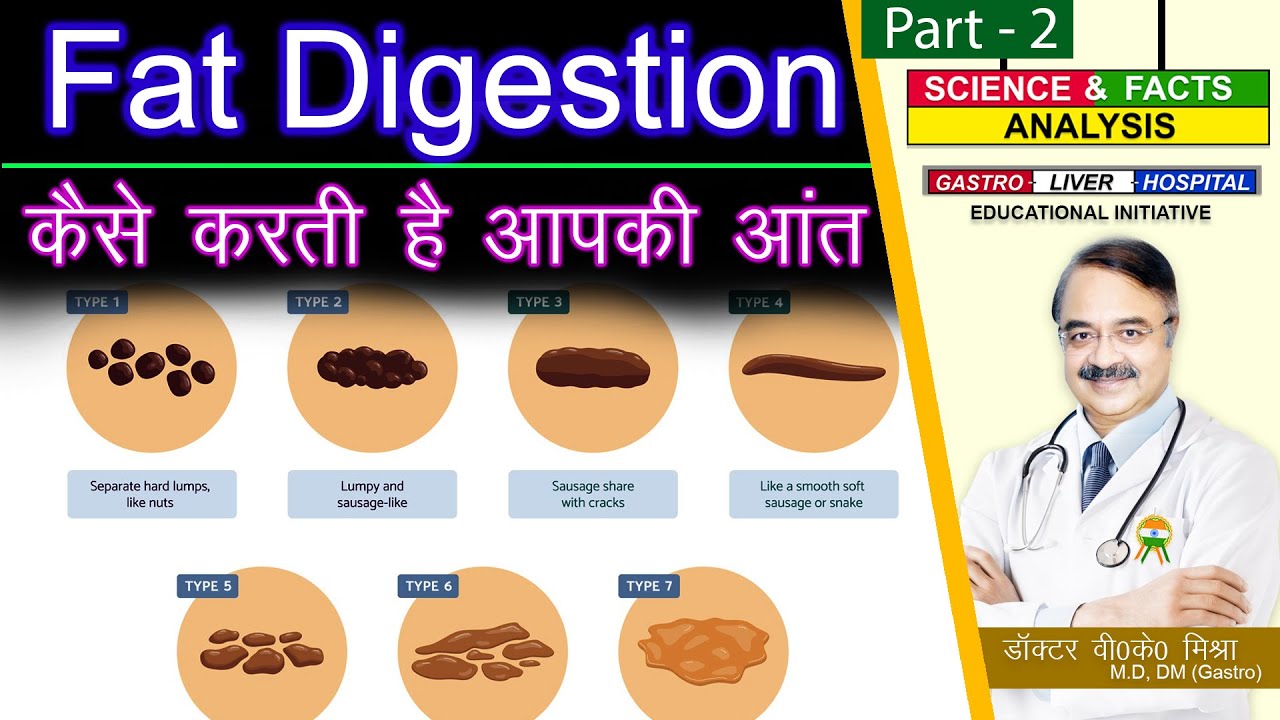 FAT DIGESTION कैसे करती है आपकी आंत || 5 SIGNS THAT YOU HAVE FAT ...