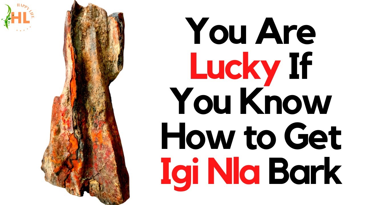 You Are Lucky If You Know How to Get Igi Nla Bark - YouTube