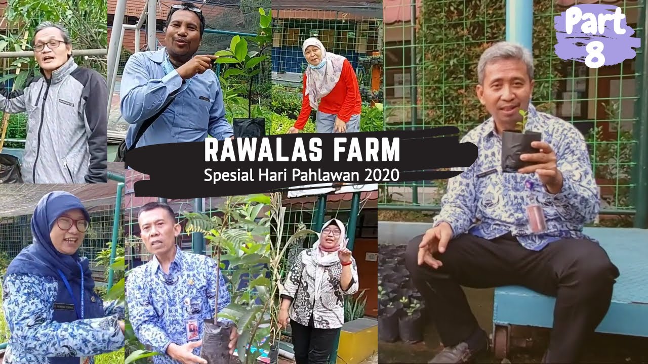 Rawalas Farm: Edisi Hari Pahlawan 2020 | Part 8 - YouTube