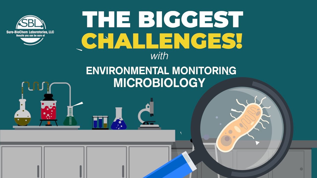 Biggest Environmental Monitoring Challenges to Consider - YouTube