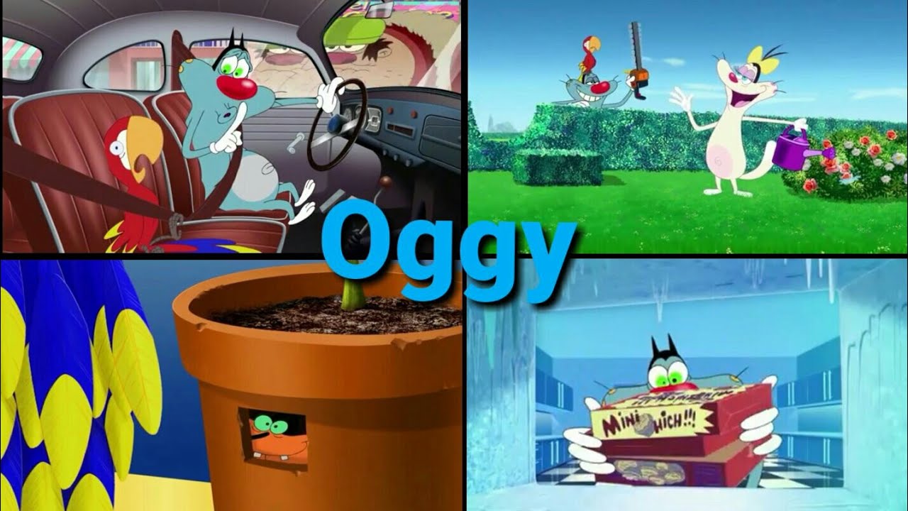BUDDY PARROT... Oggy cartoon - YouTube