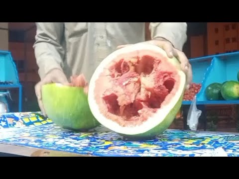 The Bad Watermelons - YouTube