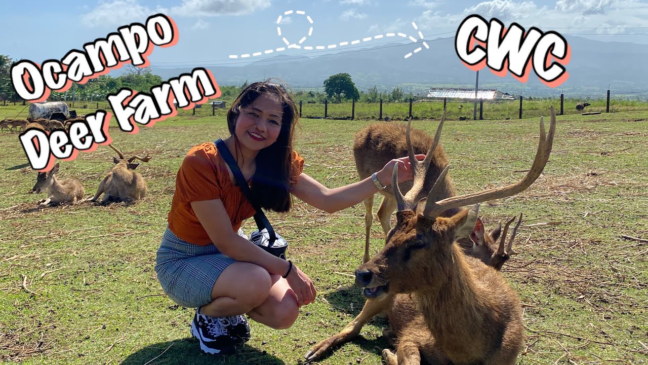 OCAMPO DEER FARM | CWC | CAMSUR WATERSPORTS COMPLEX | Pushoo Vlog - YouTube