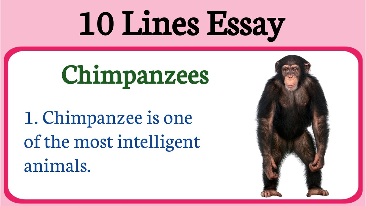 10 lines essay on chimpanzee in english !! Short essay on Chimpanzee ...