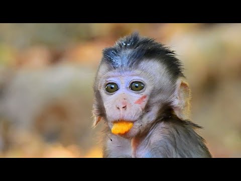 OMG!! ALBA FACE SO SAD || WHAT'S WRONG ALBA FACE || ALBA SO HUNGRY COZ ...