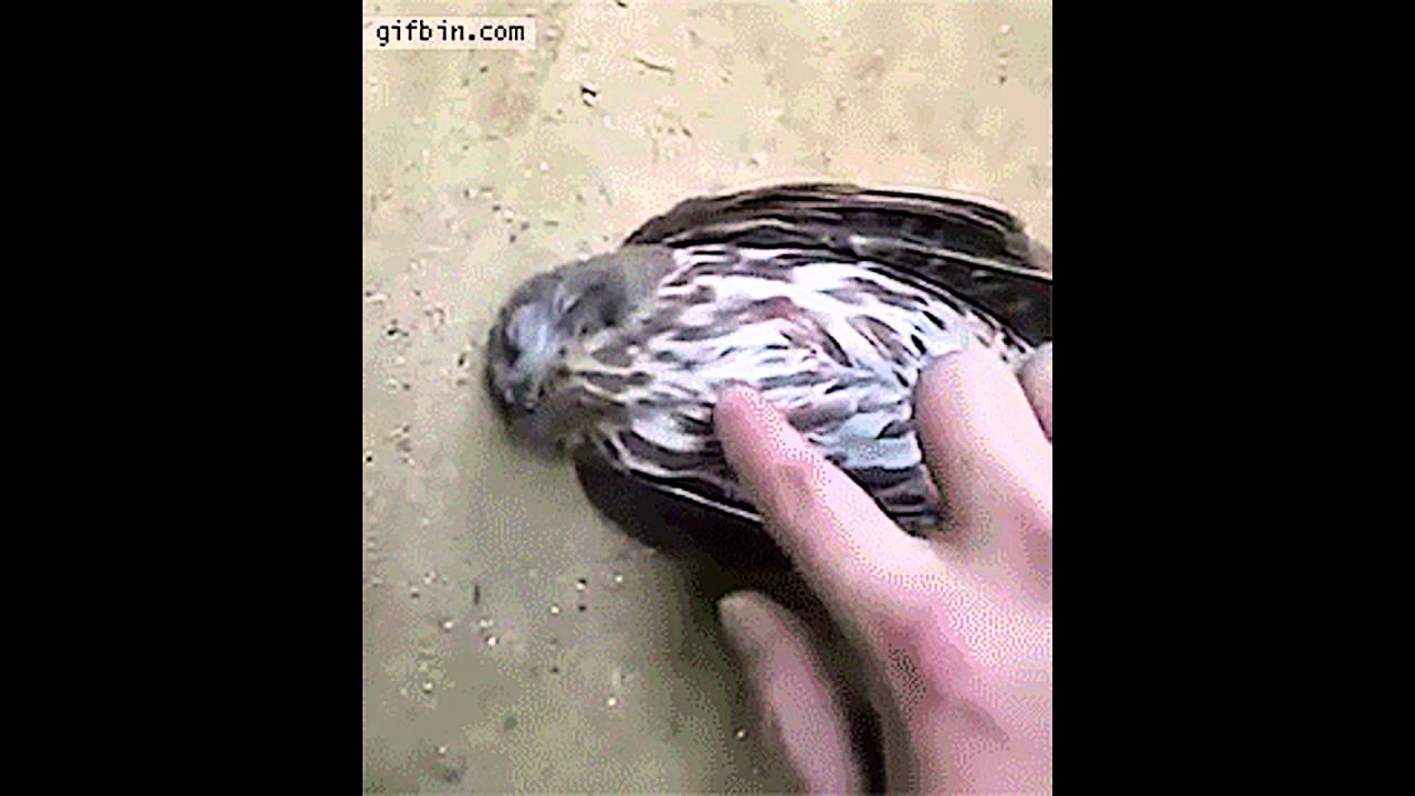 When You Wake Up Windows XP From Sleep Mode - YouTube