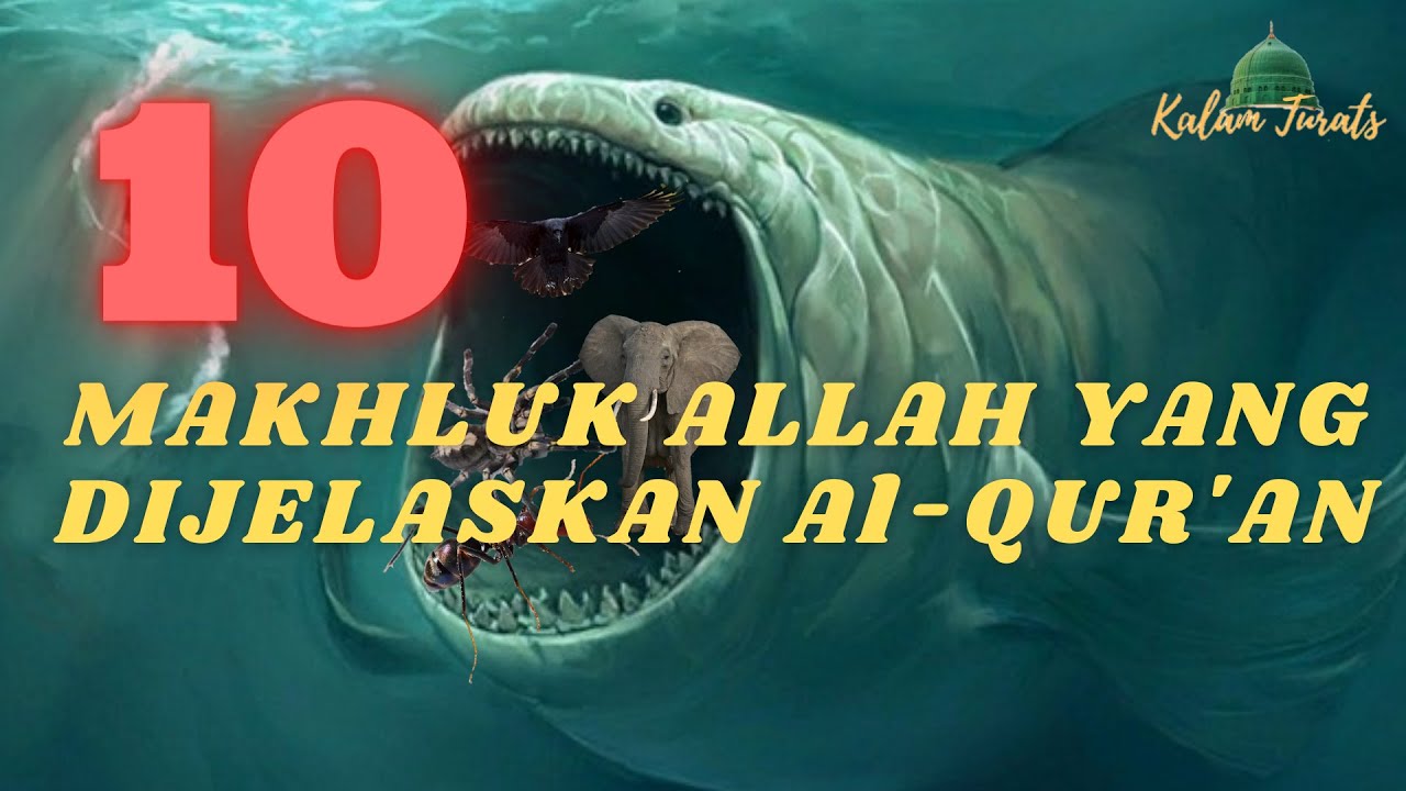 10 MAKHLUK ALLAH YANG DIJELASKAN AL QUR'AN ‼️ Hewan Dalam Al Qur'an ...