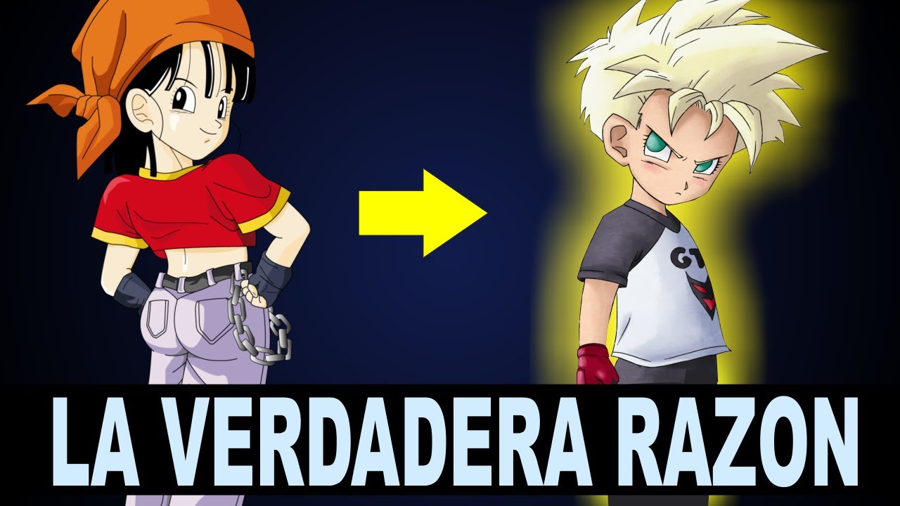 ¿Por qué Pan NO puede Transformarse en Super Saiyajin y Pan Canónica si ...