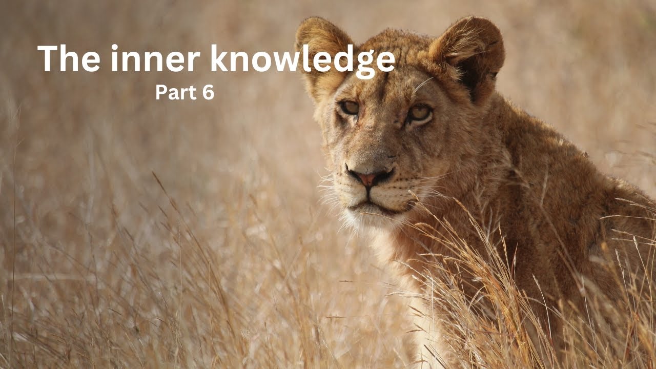 the inner knowledge part 6 - YouTube