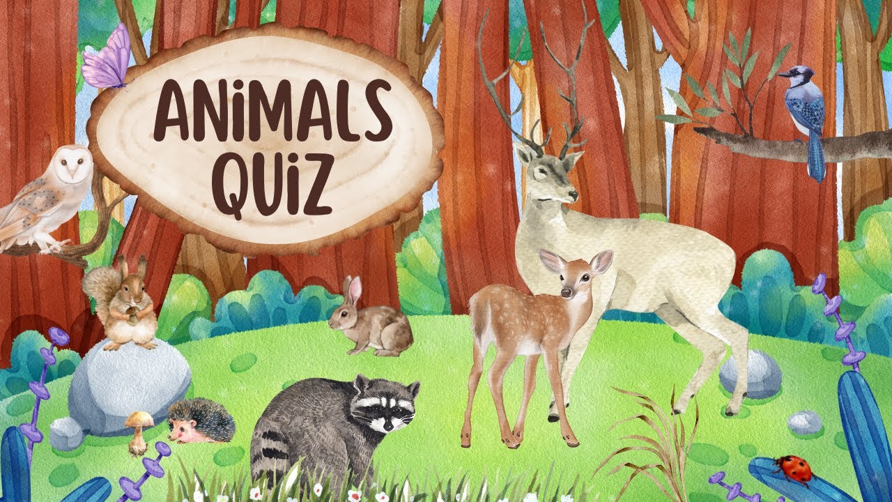 "Fun Animal Quiz for Kids | Learn About Animals!" - YouTube