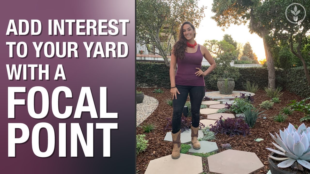Adding a focal point to your yard.| Sara Bendrick - YouTube