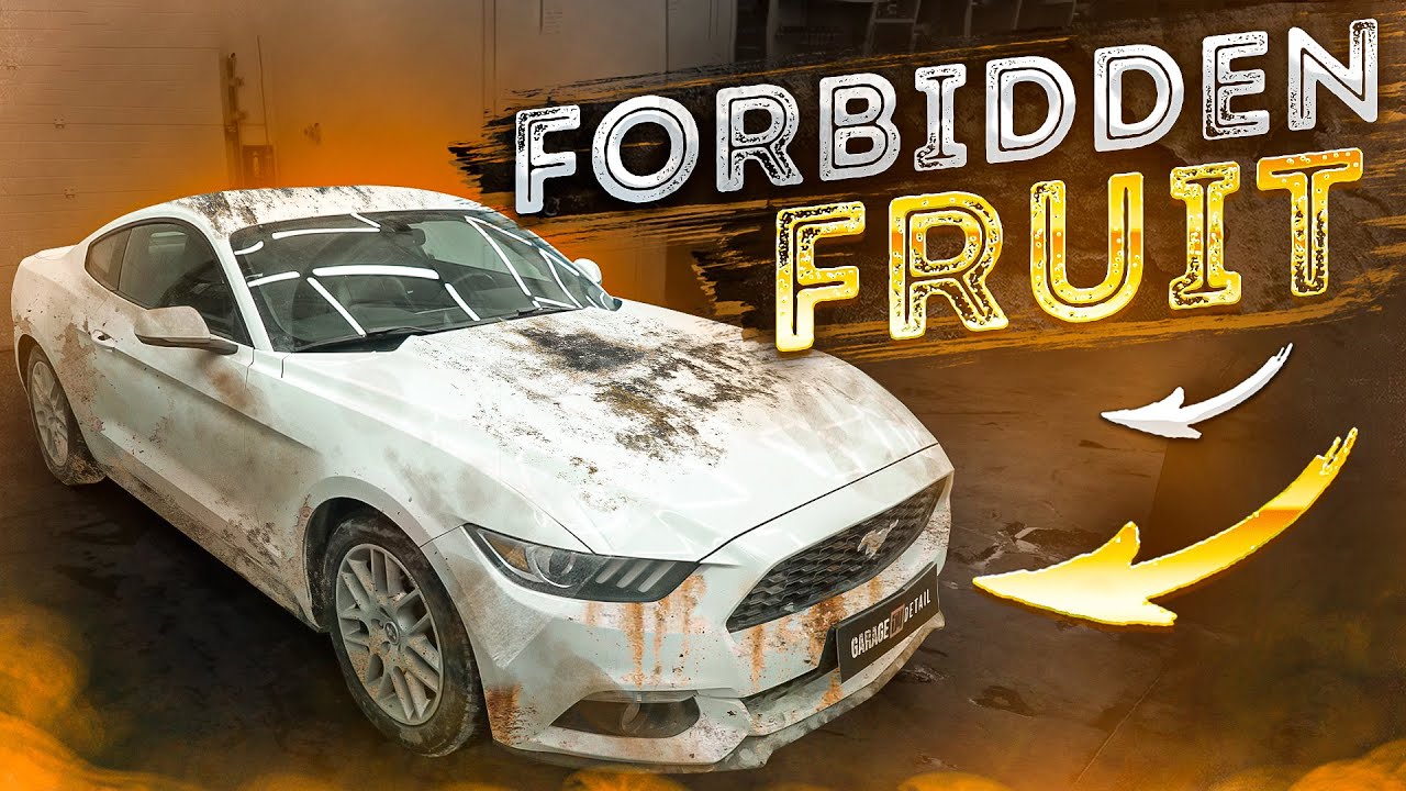 Detailing/deep cleaning Ford Mustang from Siberia - YouTube
