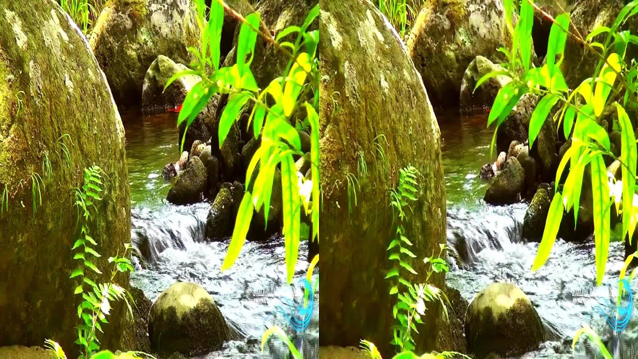 3d 3d video 3ds 3d movie 3d in 3 minutes 3d video glasses needed Hawaii ...