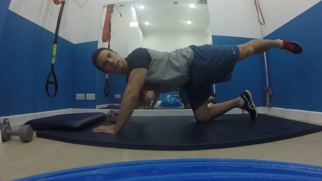 Bird dog core stability exercise from Brighton Chiropractor - YouTube