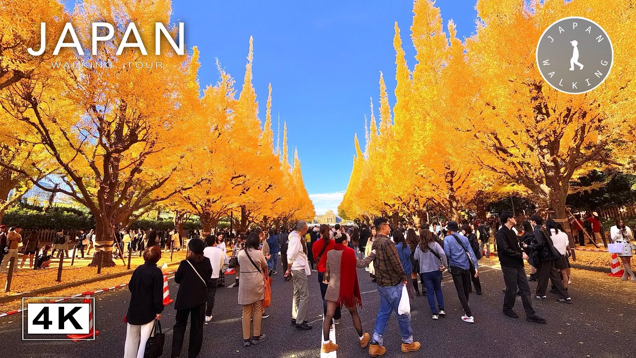 Shibuya Calm Fall Foliage Stroll | Japan Walking Tour【4K | 60fps】 - YouTube