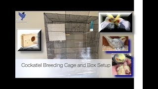 Cockatiel Breeder Cages Double X LARGE Flight Bird Breeding Rolling