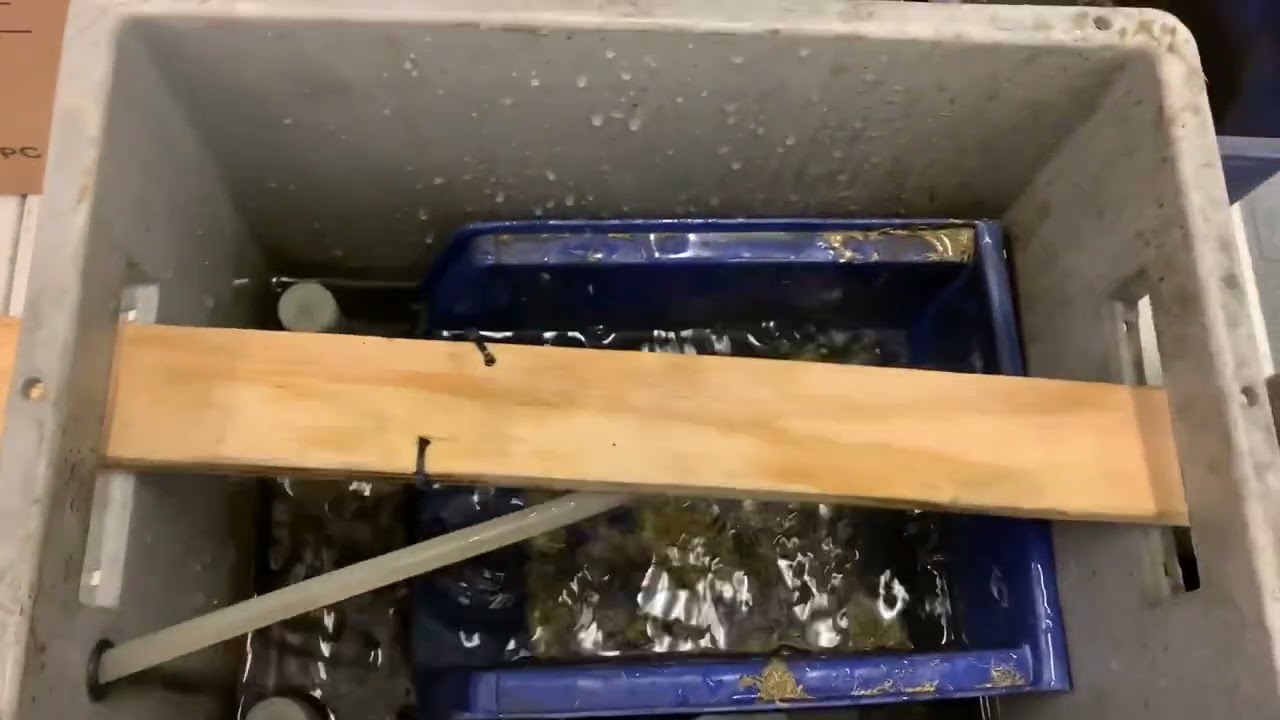 2 Second Lean, EDM bin Improvement - YouTube