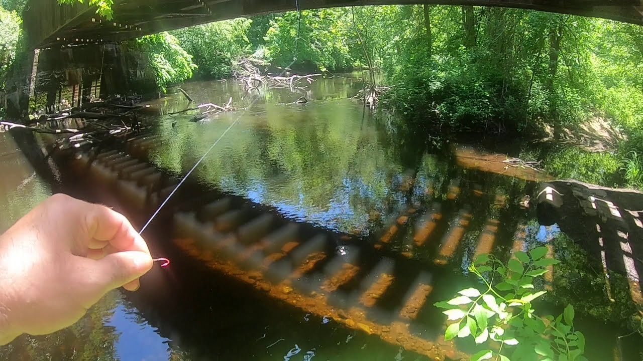 Yantic River 2020-06-04 (Part 6) - YouTube