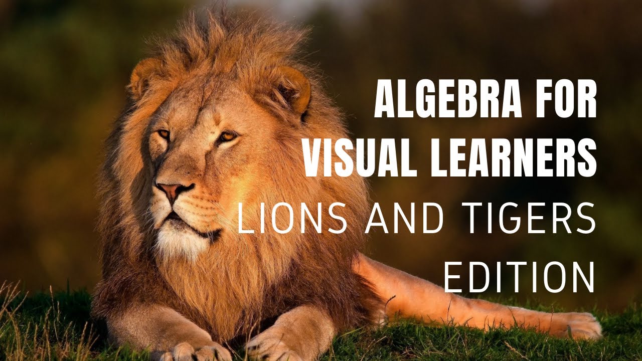 Visual Learning Algebra Book and Video on Integers—Positive and ...