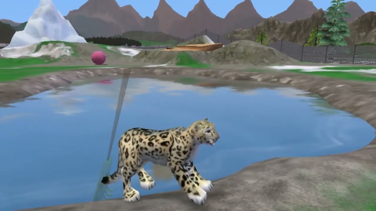 Zoo Tycoon 2 Snow Leopard Variant Gameplay - YouTube