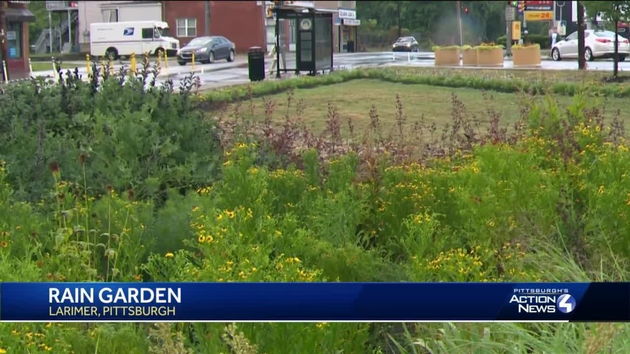 Rain garden opens in Pittsburgh's Larimer neighborhood - YouTube