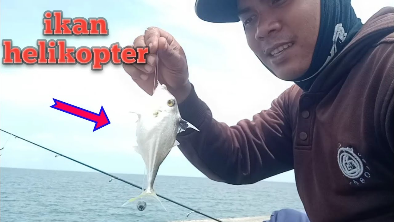 MANCING Dapat ikan helikopter tinggal di kasih baling baling dan ...