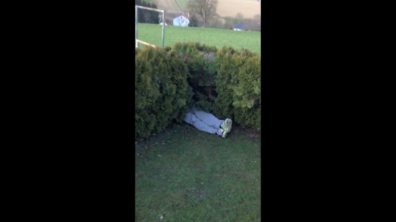 "Whale-ing" is the new Planking - YouTube