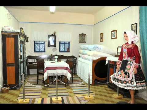 Zole-Okolo Pazova.wmv