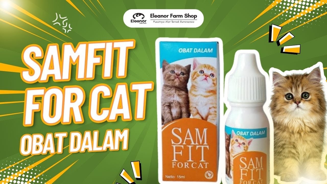 [Program MMM] Mbak Mawar Menjelaskan Obat Kucing Sam Fit For Cat - YouTube