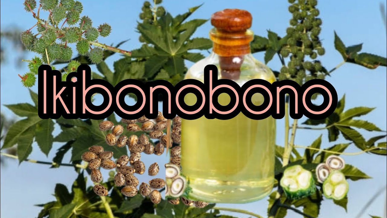 Ikibonobono ivyo gitanga // womenya akamaro kaco wotangara! - YouTube